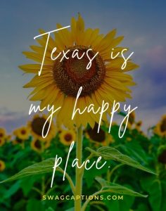 75+ Best Texas Captions And Quotes For Instagram In 2025