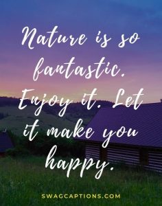 75+ Best Cottagecore Captions & Quotes For Instagram In 2025