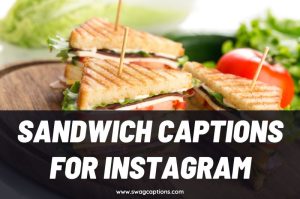 40+ Best Lunch Captions And Quotes For Instagram