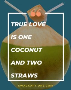 Best Coconut Captions And Quotes For Instagram In 2025