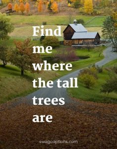 BEST Vermont Captions, Puns & Quotes For Instagram In 2025