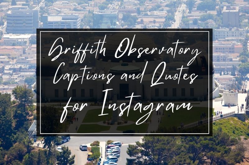 100 Best Vintage Captions For Instagram Retro Photo Quotes 100 Best Vintage Captions For Instagram Retro Photo Quotes