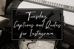 BEST Tuesday Captions And Quotes For Instagram In 2026