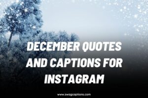 December Quotes And Captions: Embracing The Season's Joy