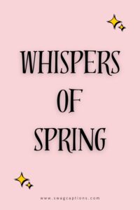 Aesthetic May Instagram Captions: Short, Artsy Flower Quotes