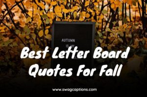 150+ Best Letter Board Quotes For Fall