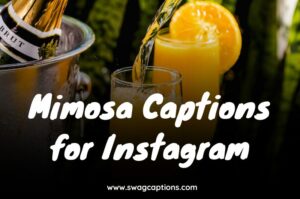 Mimosa Captions And Quotes For Instagram