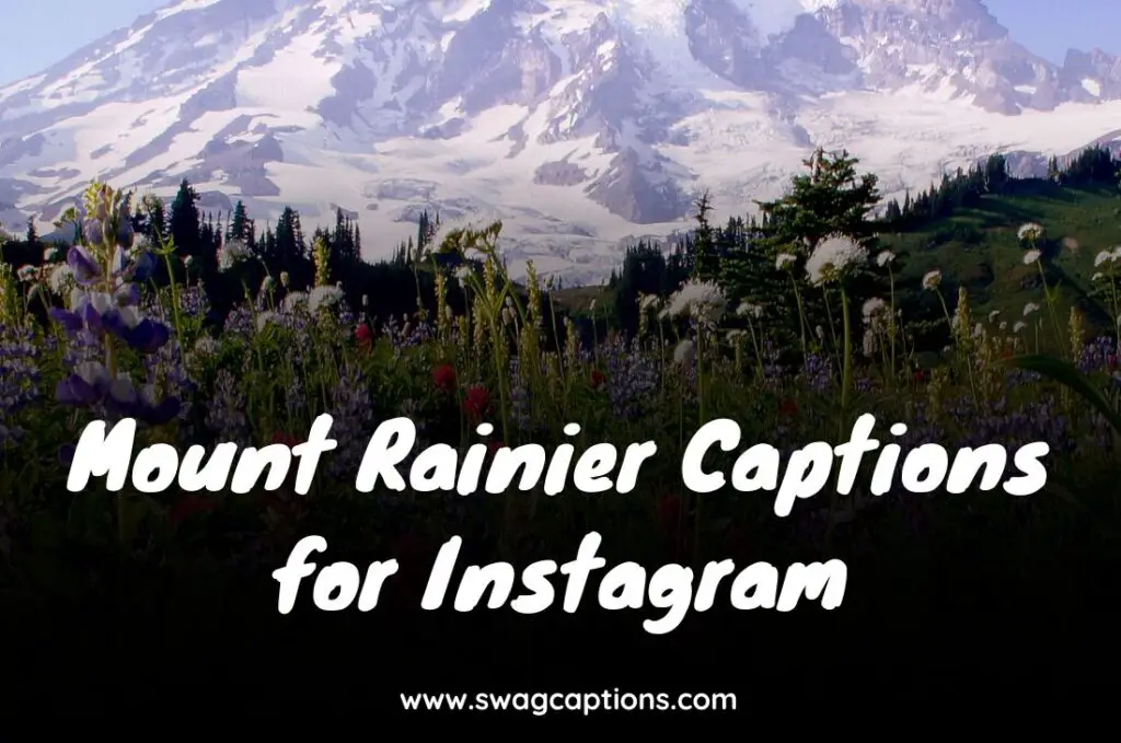 175+ Bonfire Captions And Quotes For Instagram