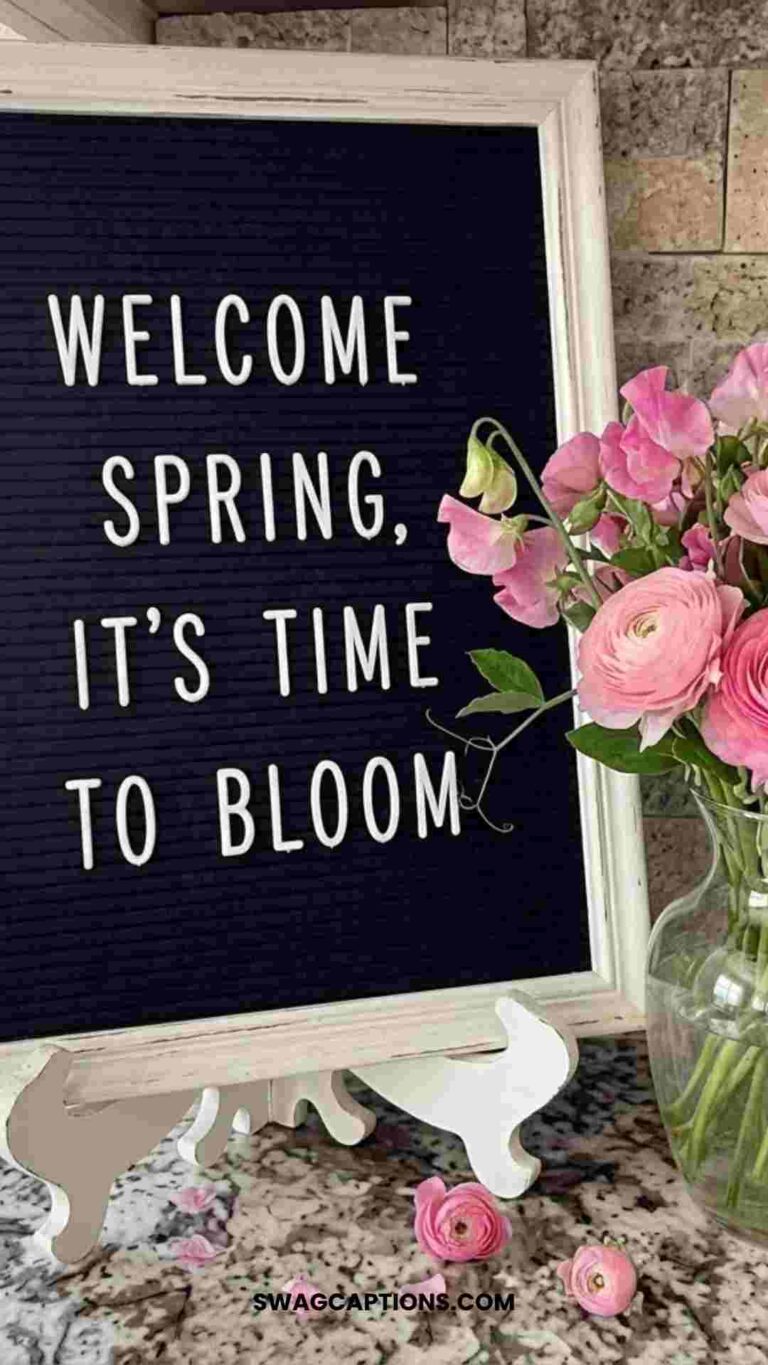 150+ Spring Letter Board Quotes To Brighten Up Your Space